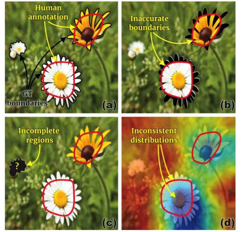 Auto Annotation: Revolutionizing Image Annotation with AI – RandomTrees ...