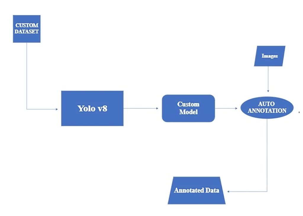Auto Annotation: Revolutionizing Image Annotation with AI – RandomTrees – Blog